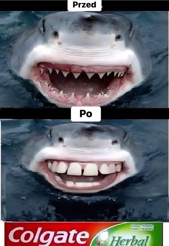 Nowoczesne pasty do zębów - Stomatolog Bydgoszcz - Blask Uśmiechu